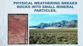 Eco 6 soil formation | PPTX