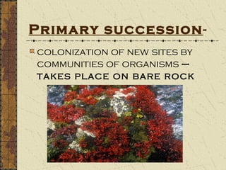 Eco 7 succession | PPT