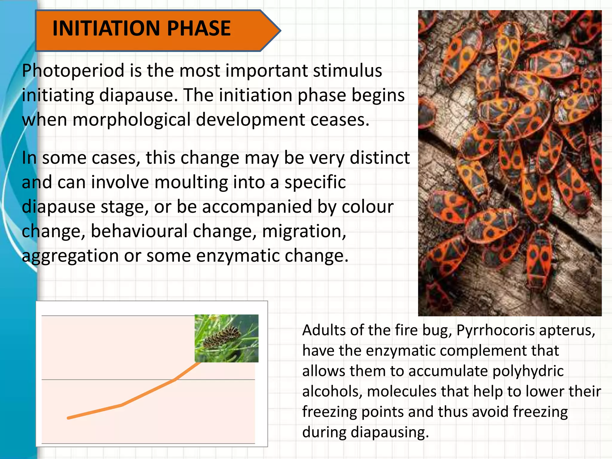 Seasonality in insects | PPTX