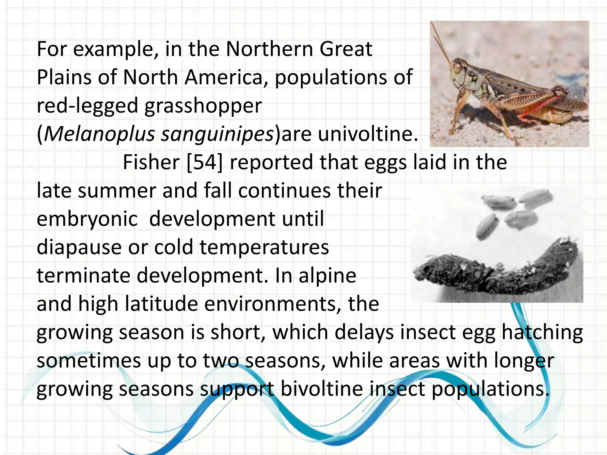Seasonality in insects | PPTX