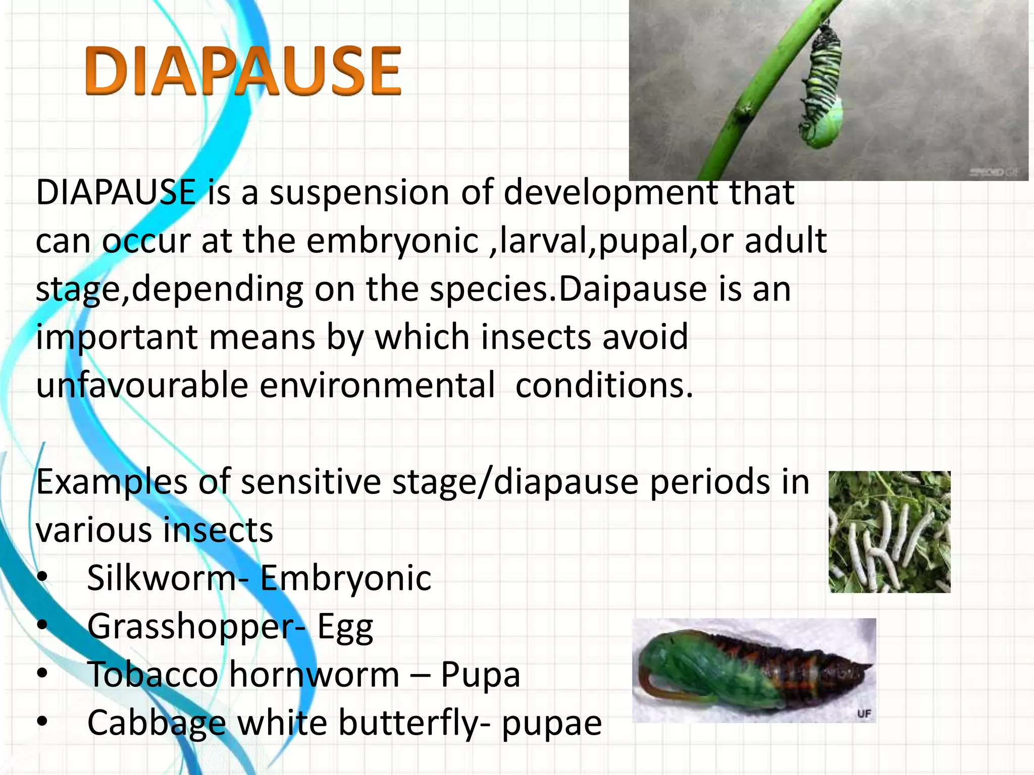 Seasonality in insects | PPTX