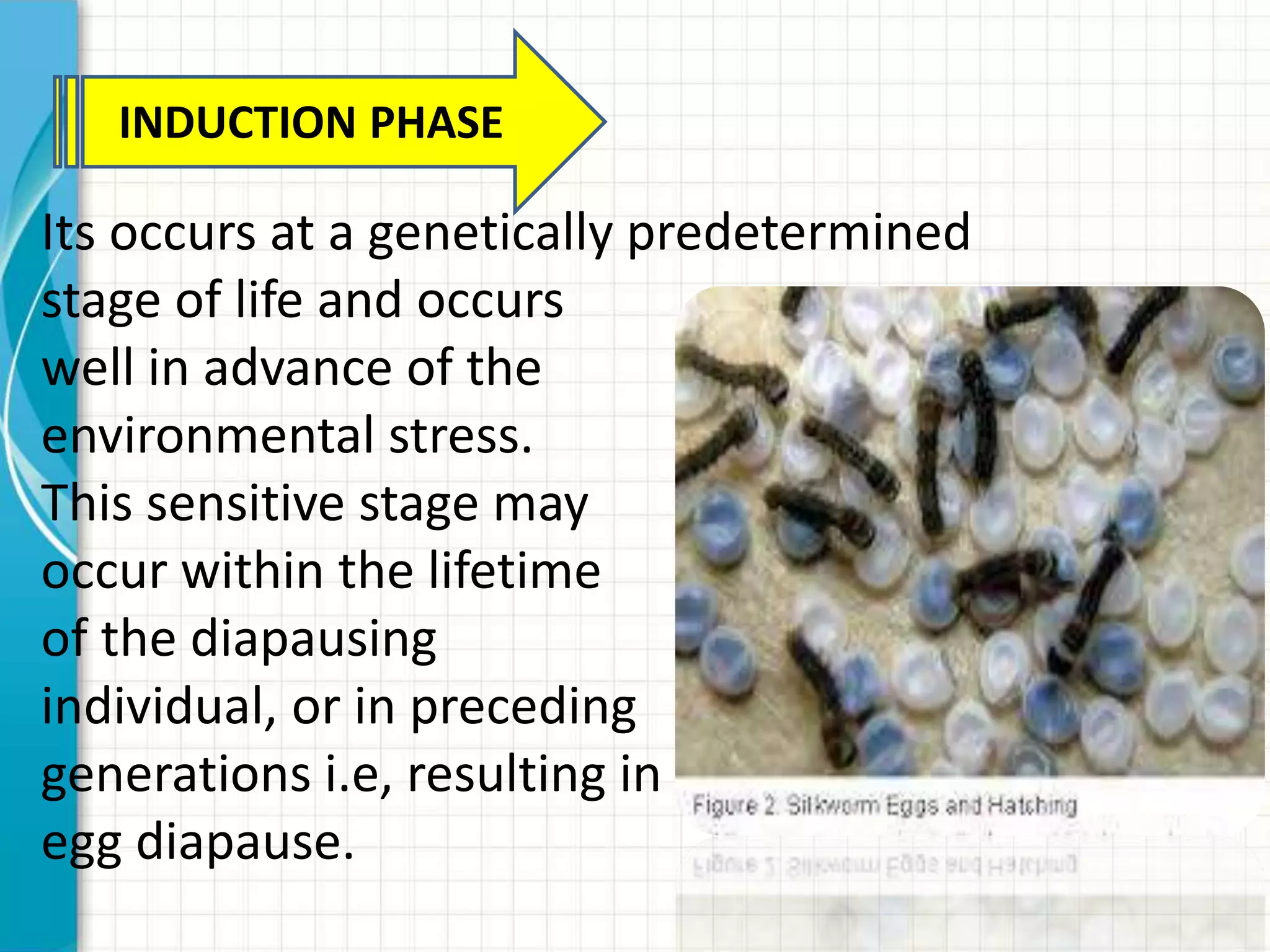 Seasonality in insects | PPTX