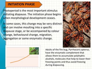 Seasonality in insects | PPTX