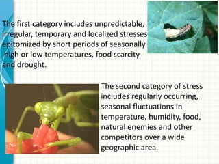 Seasonality in insects | PPTX