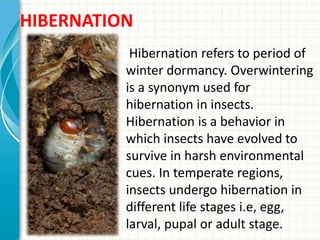 Seasonality in insects | PPTX