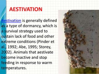 Seasonality in insects | PPTX