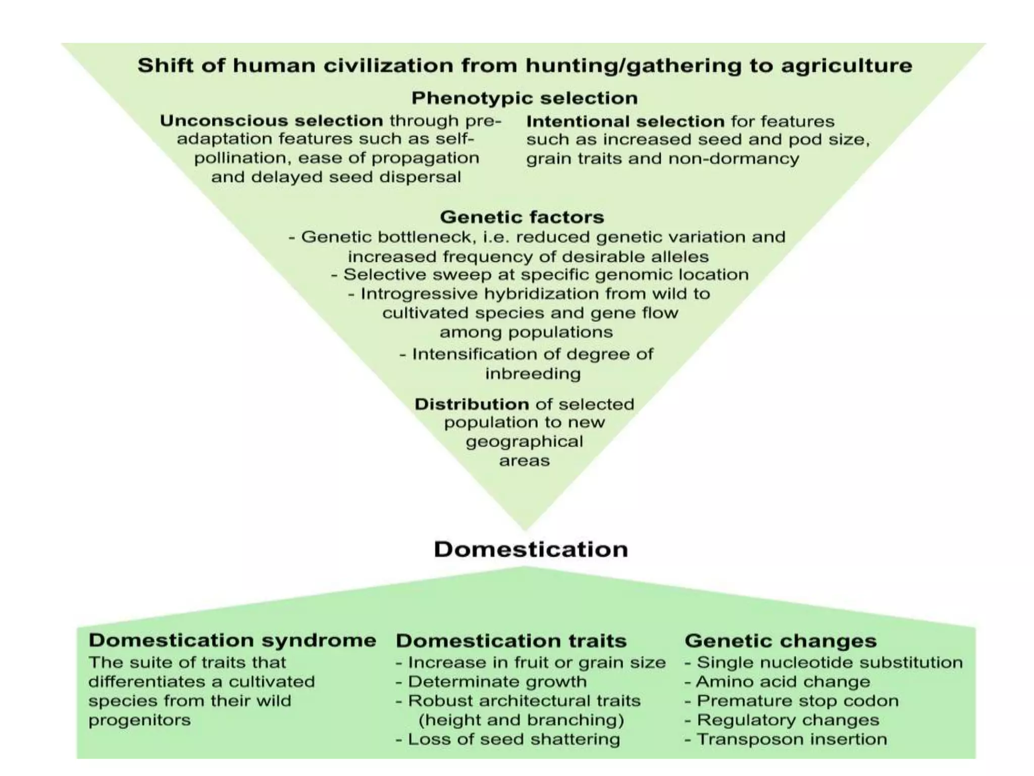 Economic Botany: Origin of cultivated plants | PPTX