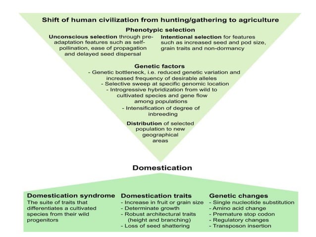 Economic Botany: Origin of cultivated plants | PPTX