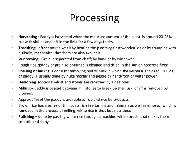 Economic Botany: Cereals: Rice | PPTX