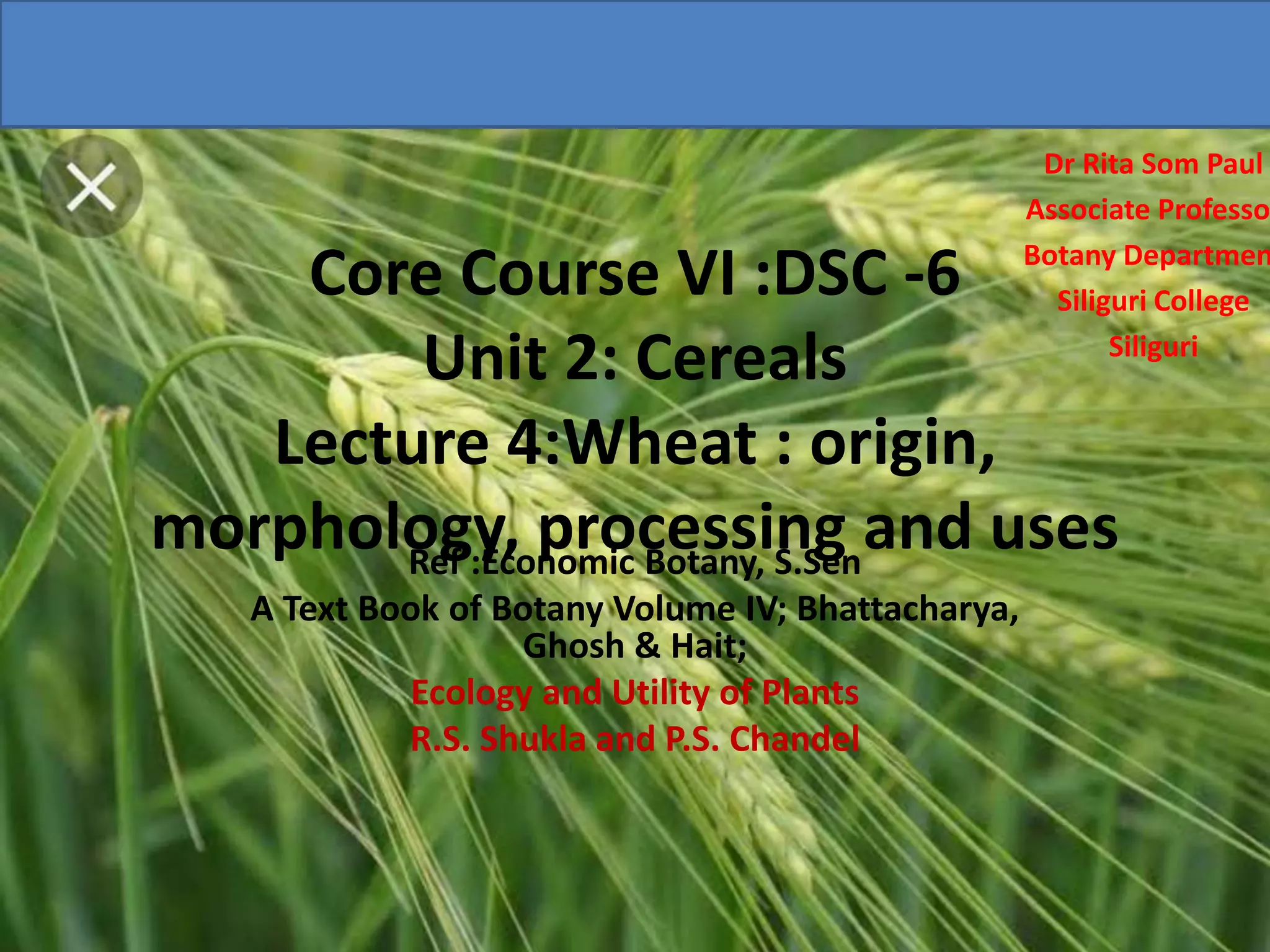 Economic Botany : Cereals : Wheat | PPTX