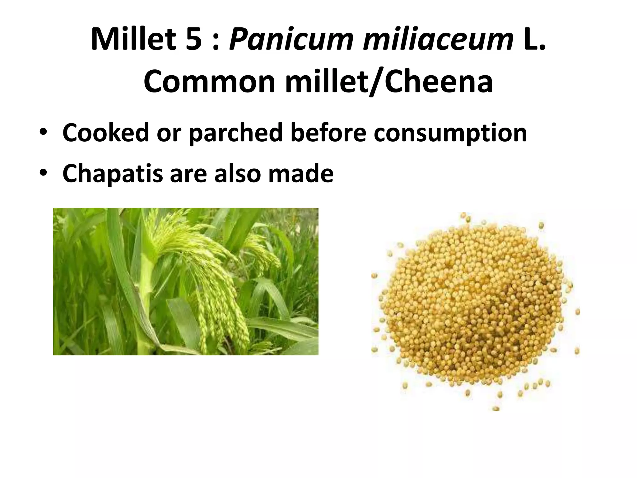 Economic Botany : Millets | PPTX