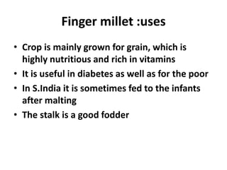 Economic Botany : Millets | PPTX