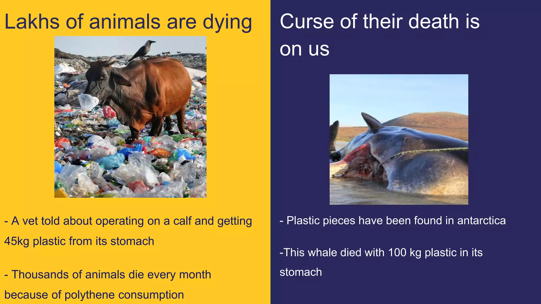 Eco Bricks: Ultimate way to make Plastic and Polythene free Environment ...