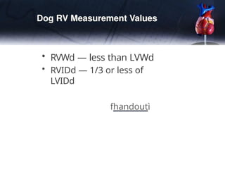 Ecocardigram pptAn echocardiogram, also kno | PPT