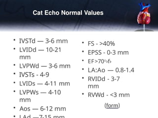 Ecocardigram pptAn echocardiogram, also kno | PPT
