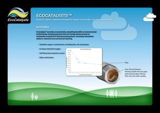 EcoCatalysts Product Demonstration | PDF