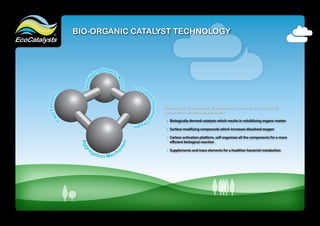 EcoCatalysts Product Demonstration | PDF