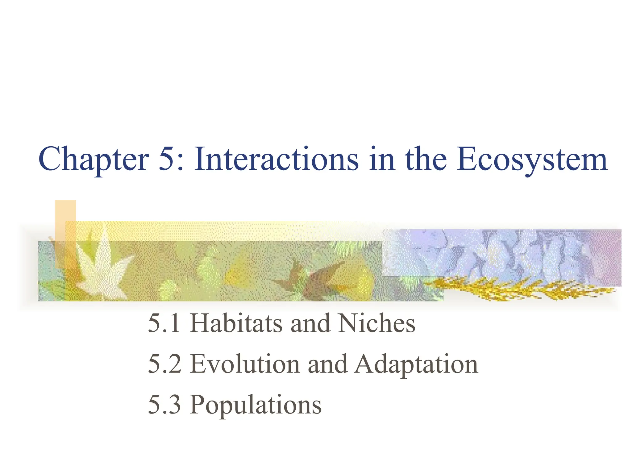 Ecosystem, habitat and community, Niche ppt | PPT