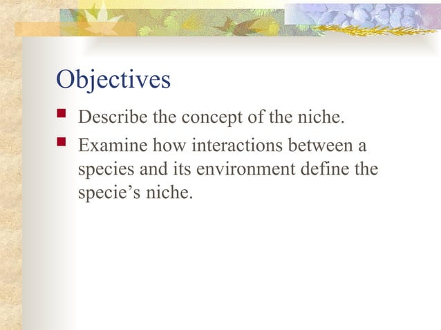 Ecosystem, habitat and community, Niche ppt | PPT