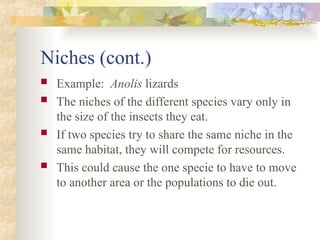 Ecosystem, habitat and community, Niche ppt | PPT