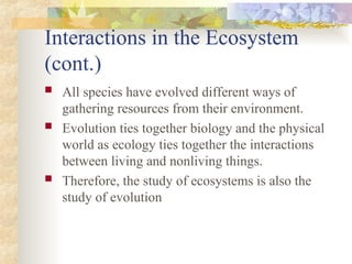 ecosystem and its niches and population. | PPT
