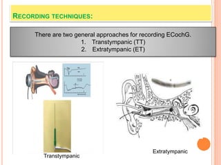 ecochG.pptx | Digital Audio | Computer Software and Applications