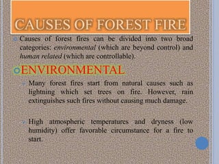 Forest Fire in India (UK) | PPTX