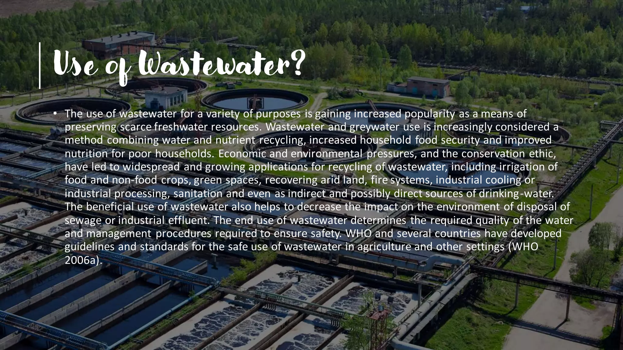 Eco Club Project TK.pdf