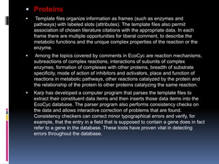 Ecocyc database | PPT