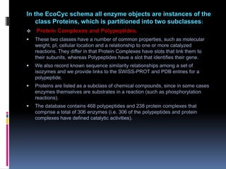 Ecocyc database | PPT