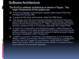 Ecocyc database | PPT