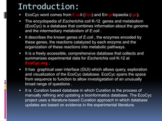 Ecocyc database | PPT