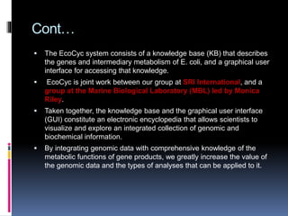 Ecocyc database | PPT