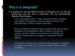 Ecocyc database | PPT