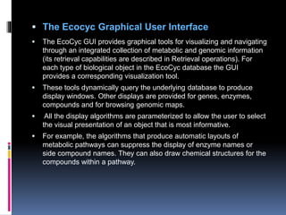 Ecocyc database | PPT