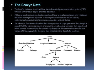Ecocyc database | PPT