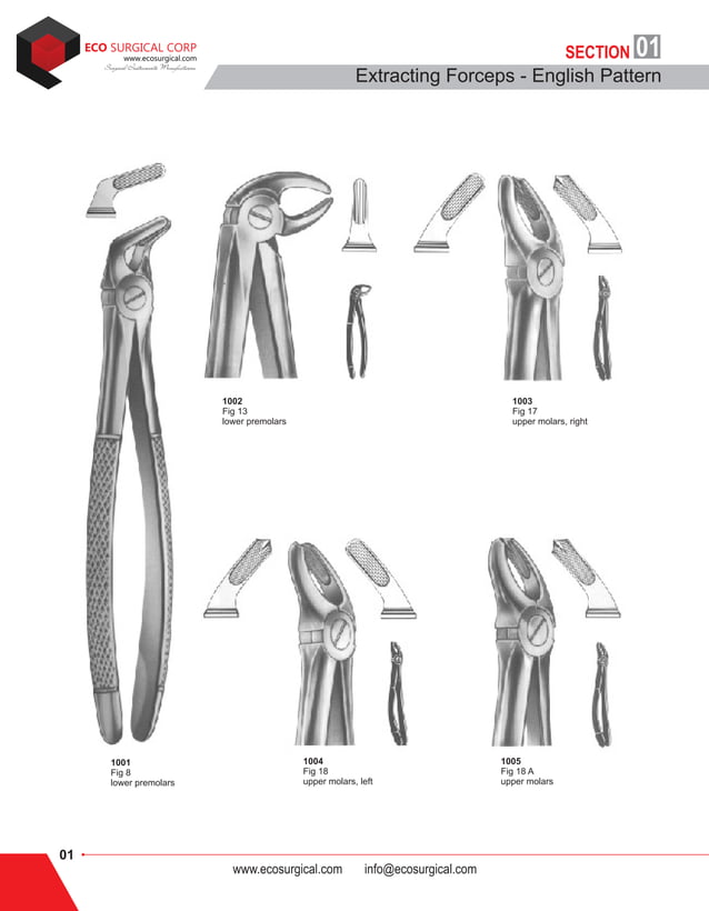 Eco Dental Instruments Catalogue | PDF