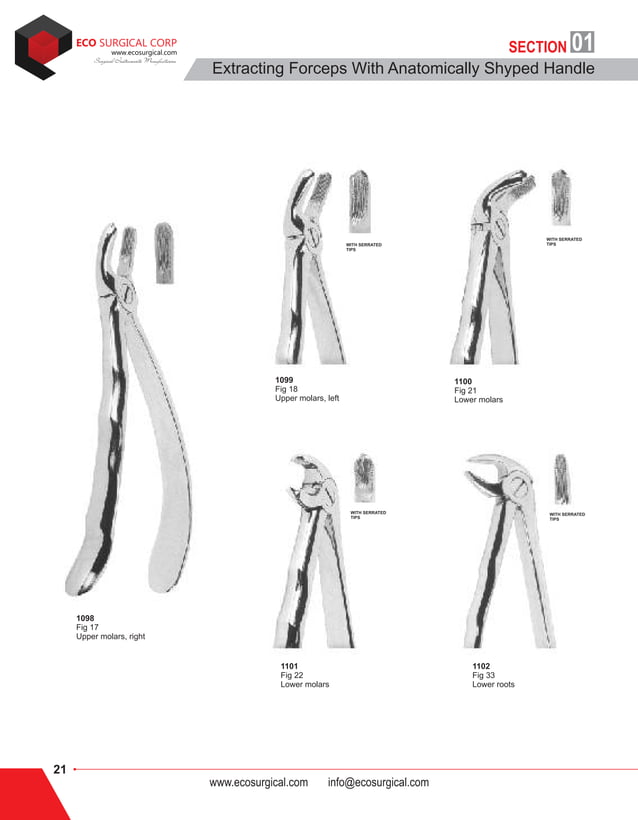 Eco Dental Instruments Catalog | PDF