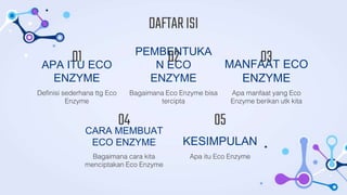 ECO ENZIME AND THEIR BENEFIT FOR HUMAN LIFE | PPTX