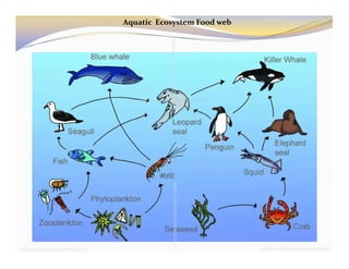 ECO_EVS-PART-02.pdf semester 1 aecc delhi university | PDF