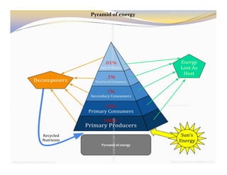 ECO_EVS-PART-02.pdf semester 1 aecc delhi university | PDF