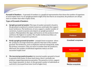 ECO_EVS-PART-02.pdf semester 1 aecc delhi university | PDF