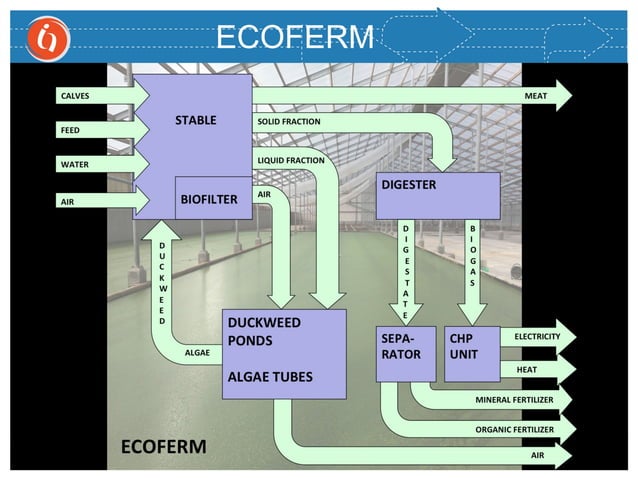 ECOFERM - The circular farm | PPT | Agriculture | Industries