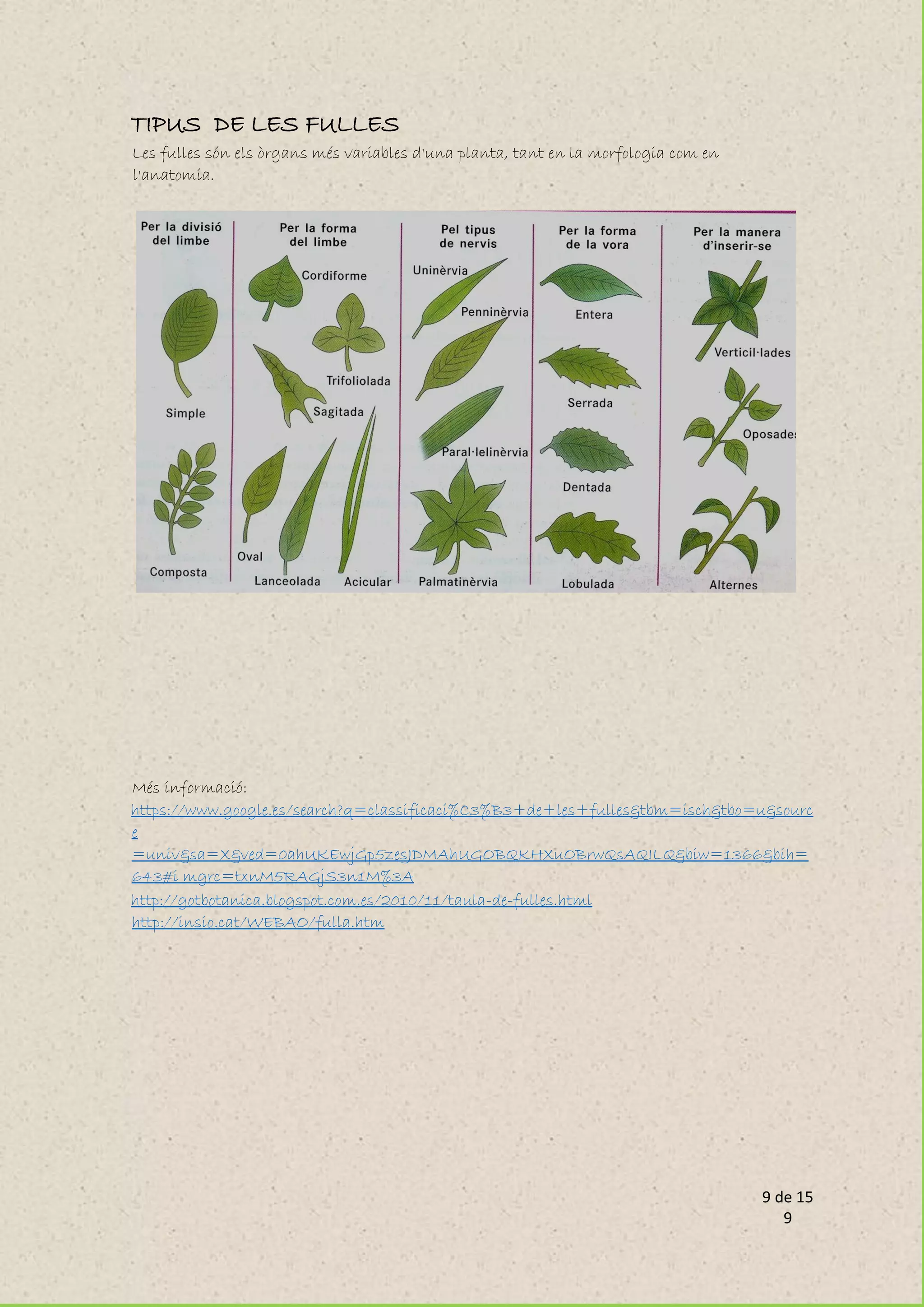 Ecofisiologia i processos vitals dels vegetals | PDF
