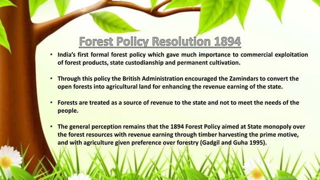 Forest Policies Of India, | PPTX | Geography | Science