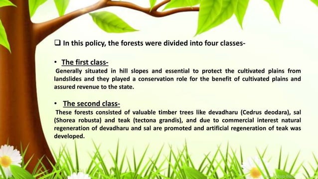Forest Policies Of India, | PPTX | Geography | Science