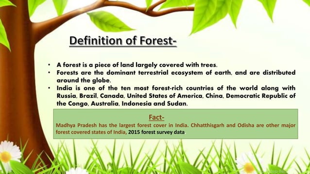 Forest Policies Of India, | PPTX | Geography | Science