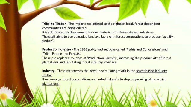 Forest Policies Of India, | PPTX | Geography | Science