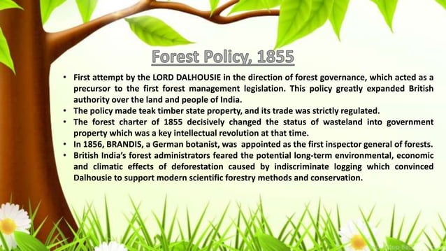 Forest Policies Of India, | PPTX | Geography | Science