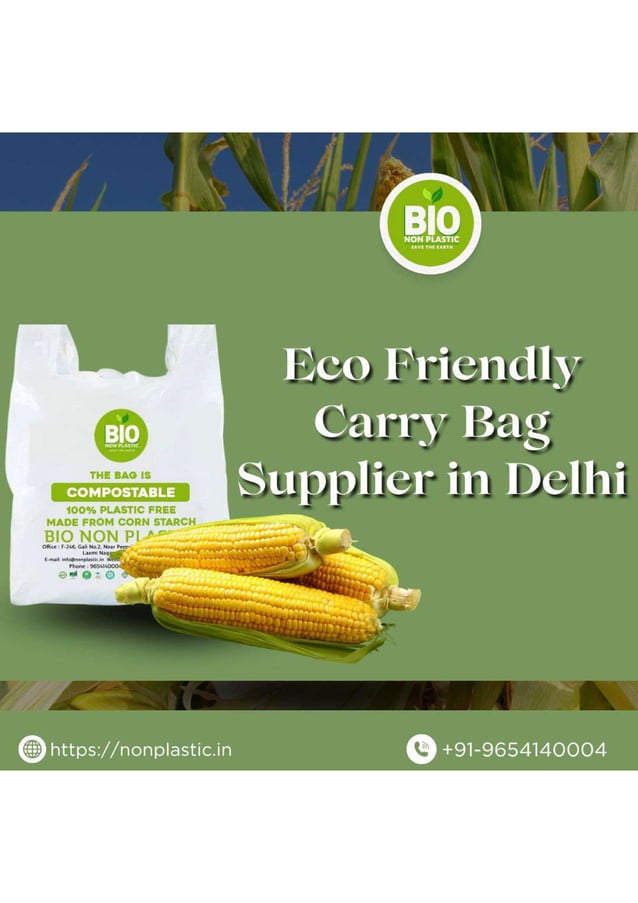 Eco Friendly Carry Bag Manufactures in Delhi | PDF
